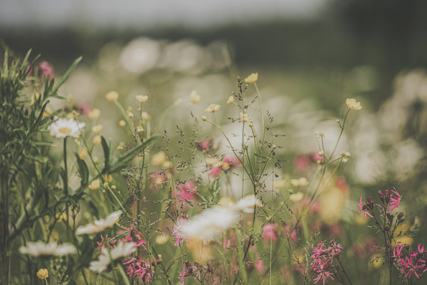 KABE the nature side | KARL BUBENHOFER AG